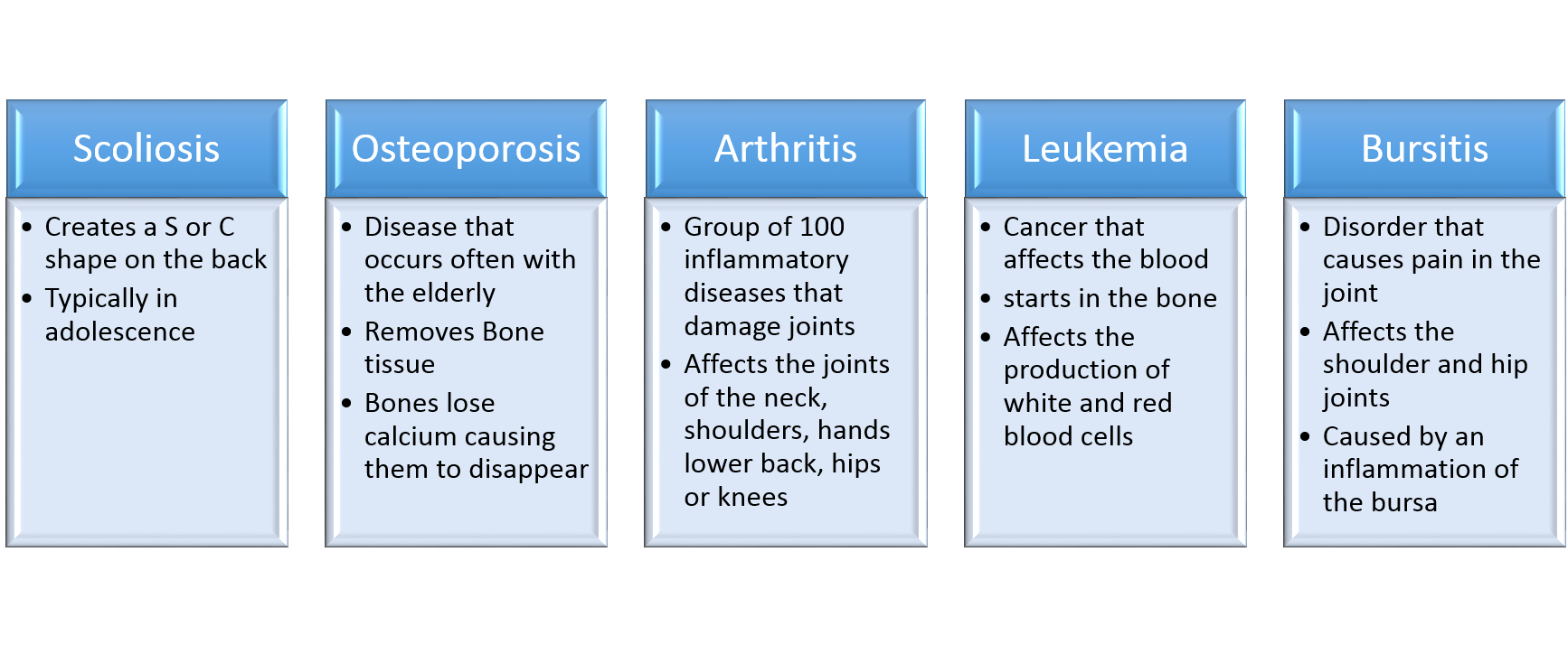 Skeletal System at emaze Presentation