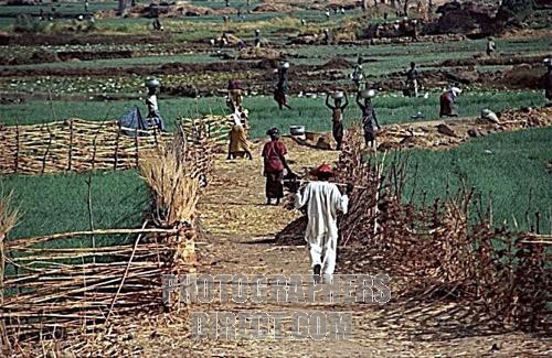 West African Empires.pptx copy1 at emaze Presentation