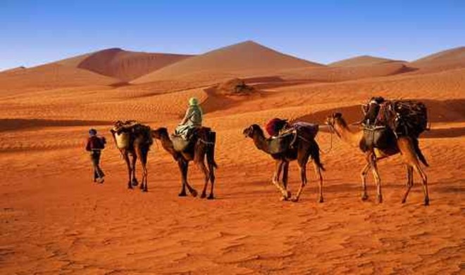 nomads on emaze nomads on emaze