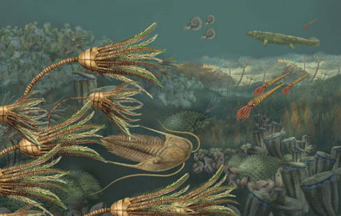 The Mesozoic Era on emaze