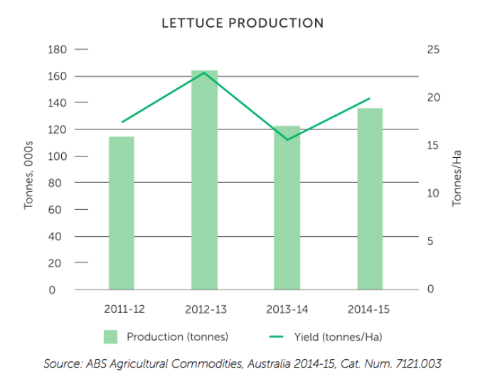 Lettuce Production at emaze Presentation