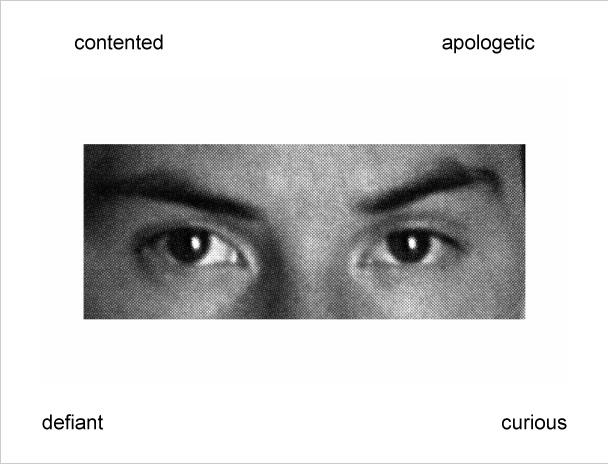 Micro Expressions at emaze Presentation