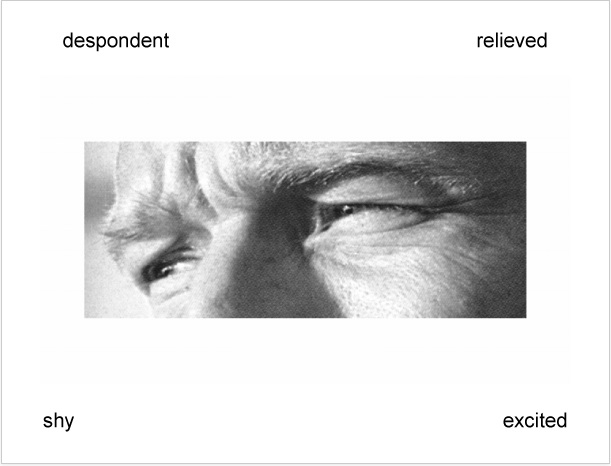 Micro Expressions at emaze Presentation