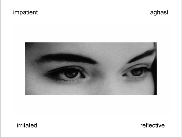 Micro Expressions at emaze Presentation