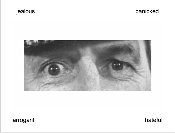 Micro Expressions at emaze Presentation