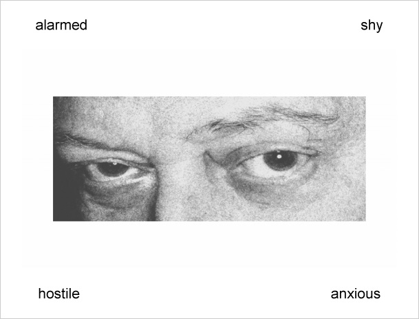 Micro Expressions at emaze Presentation