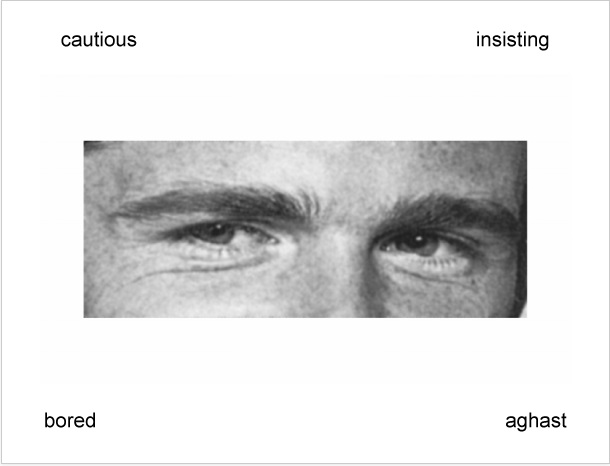 Micro Expressions at emaze Presentation