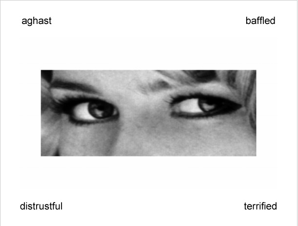 Micro Expressions at emaze Presentation