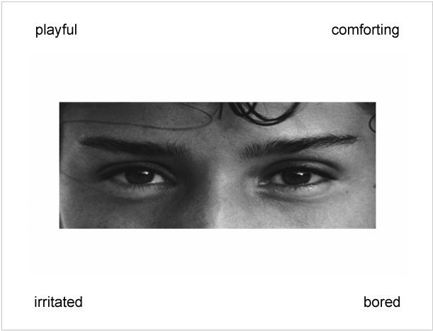 Micro Expressions at emaze Presentation