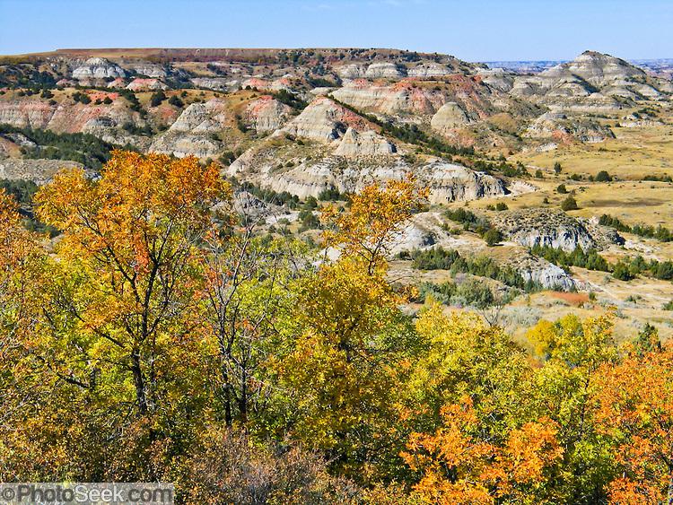 Presentation Bio at emaze Presentation