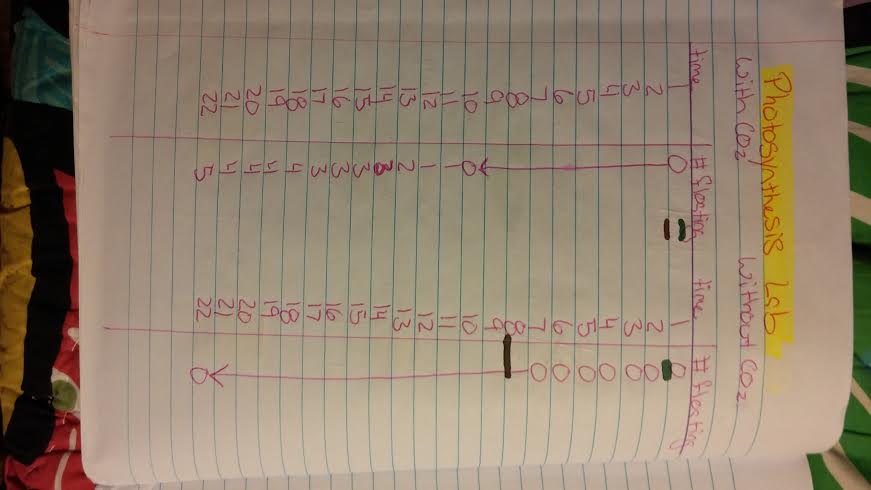 AP Biology Final Exam Portfolio at emaze Presentation