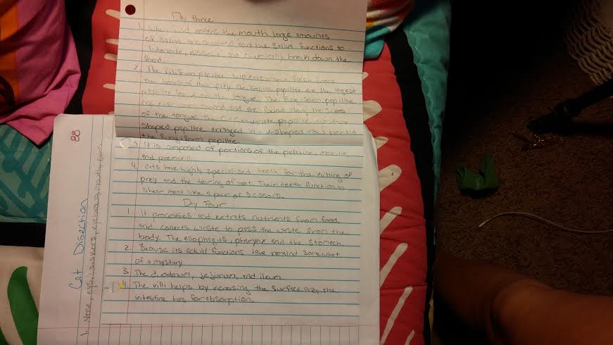 AP Biology Final Exam Portfolio at emaze Presentation