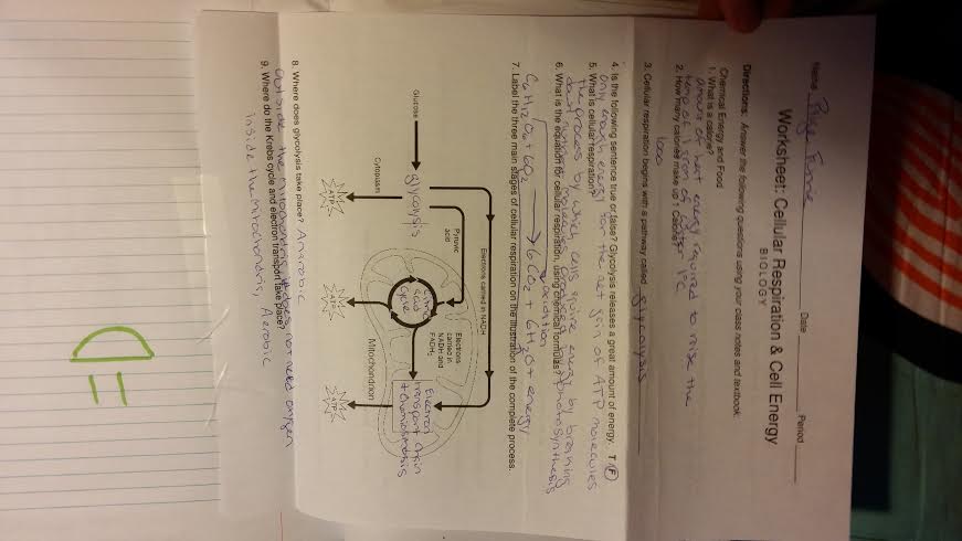 AP Biology Final Exam Portfolio at emaze Presentation