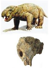 Triassic Time at emaze Presentation