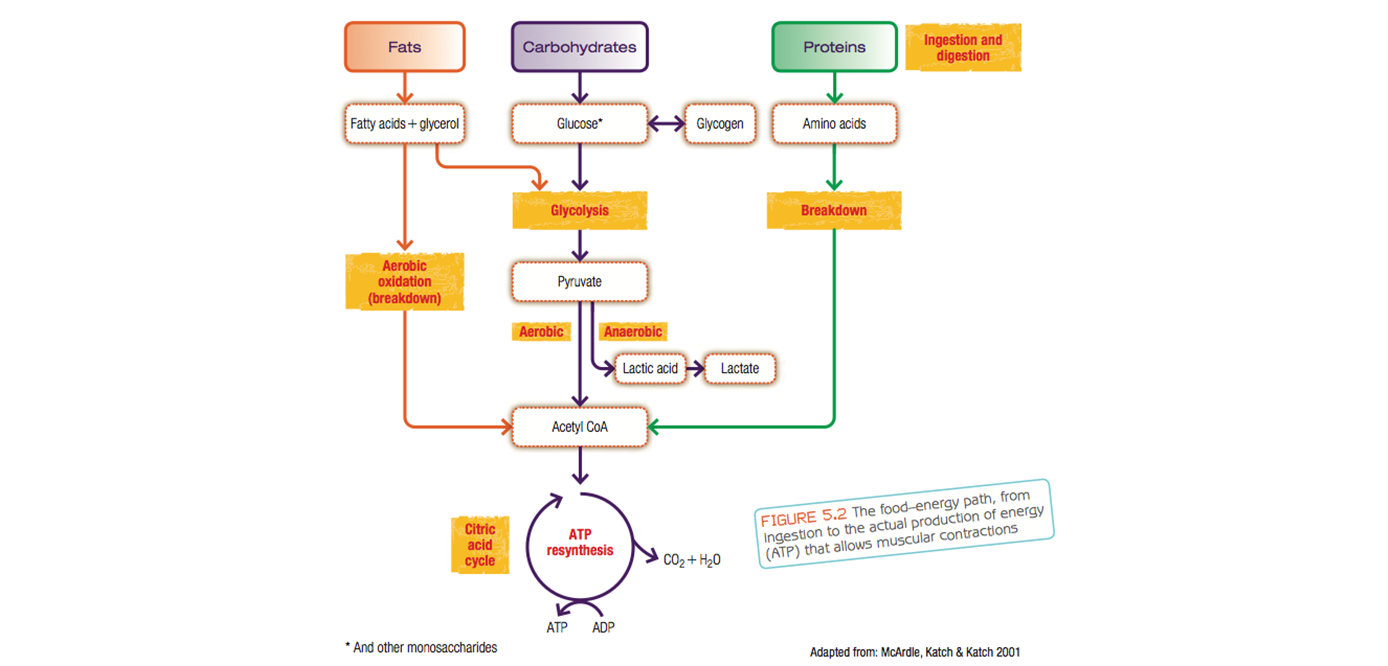 Y12 PE: Unit 3 at emaze Presentation