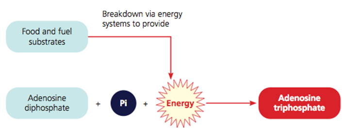 Y12 PE: Unit 3 at emaze Presentation