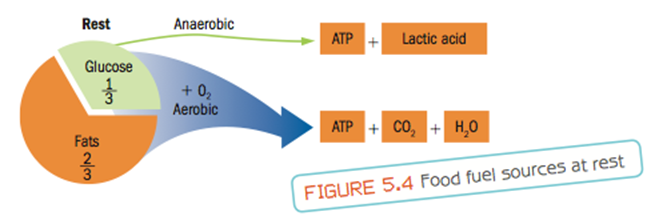Y12 PE: Unit 3 at emaze Presentation