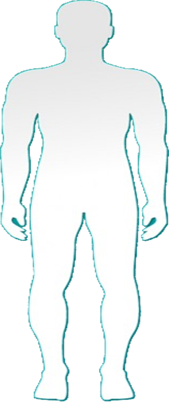 Flow at emaze Presentation