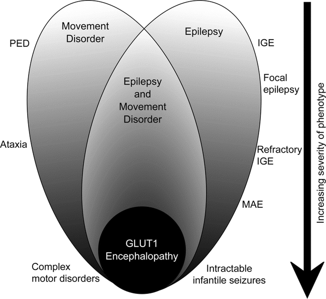 GLUT1 On Emaze