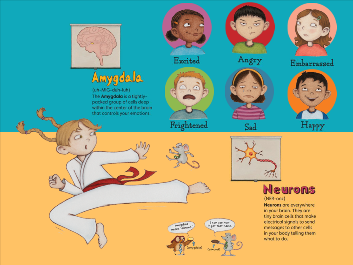 How our brains work.pptx at emaze Presentation
