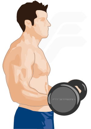 Functional Training Presentation on emaze