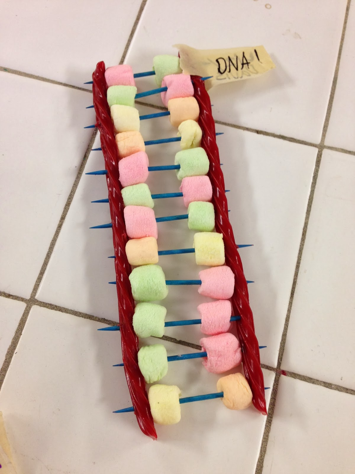 Biology Category 1 review on emaze