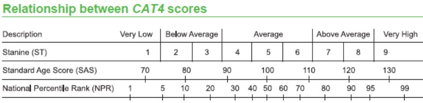 Cat4 Test Results Explained A Full Guide For The Exam 47 Off
