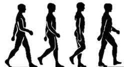 Capitulo 7 at emaze Presentation