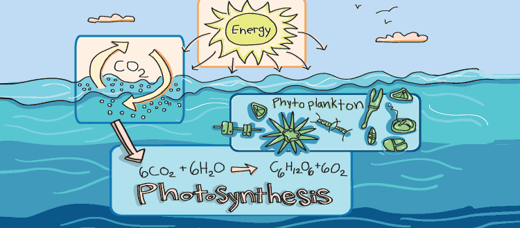 Oceanography Ch. 19 on emaze