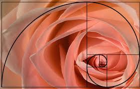 Fibonacci Sequence on emaze