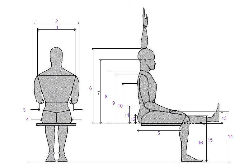 Antropometría at emaze Presentation