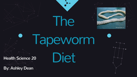 The Tapeworm Diet at emaze Presentation