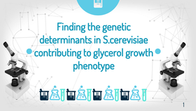 thesis at emaze Presentation