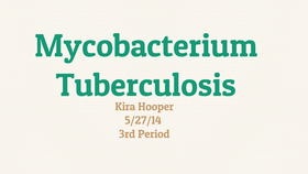 mycobacterium tuberculosis at emaze Presentation