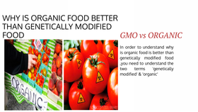 gmo at emaze Presentation