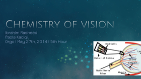 ORGO_Chemistry of Vision at emaze Presentation