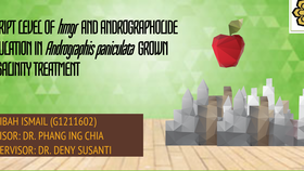 Final Progress Sem4 at emaze Presentation