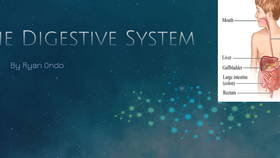 The Digestive System at emaze Presentation