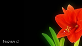 Lenguaje sql.pptx at emaze Presentation