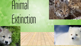 Animal Extinction at emaze Presentation