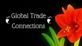 Global Trade Connection at emaze Presentation