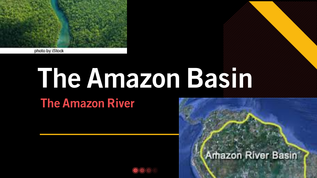 The Amazon Basin at emaze Presentation