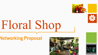 Networking Proposal at emaze Presentation