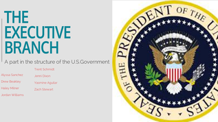 Executive at emaze Presentation