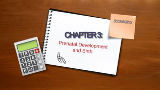 Chapter 3: Prenatal Development and Birth at emaze Presentation