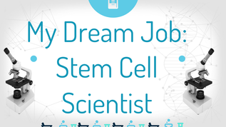 Dream Job at emaze Presentation