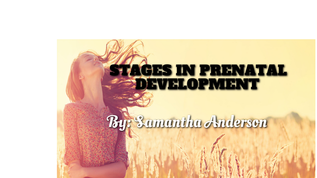 Prenatal Development at emaze Presentation