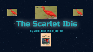 The Scarlet Ibis.pptx at emaze Presentation