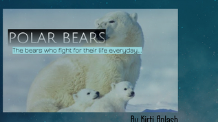 Polar Bears PBL at emaze Presentation