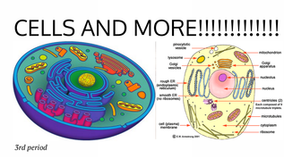 Science Cells Project at emaze Presentation